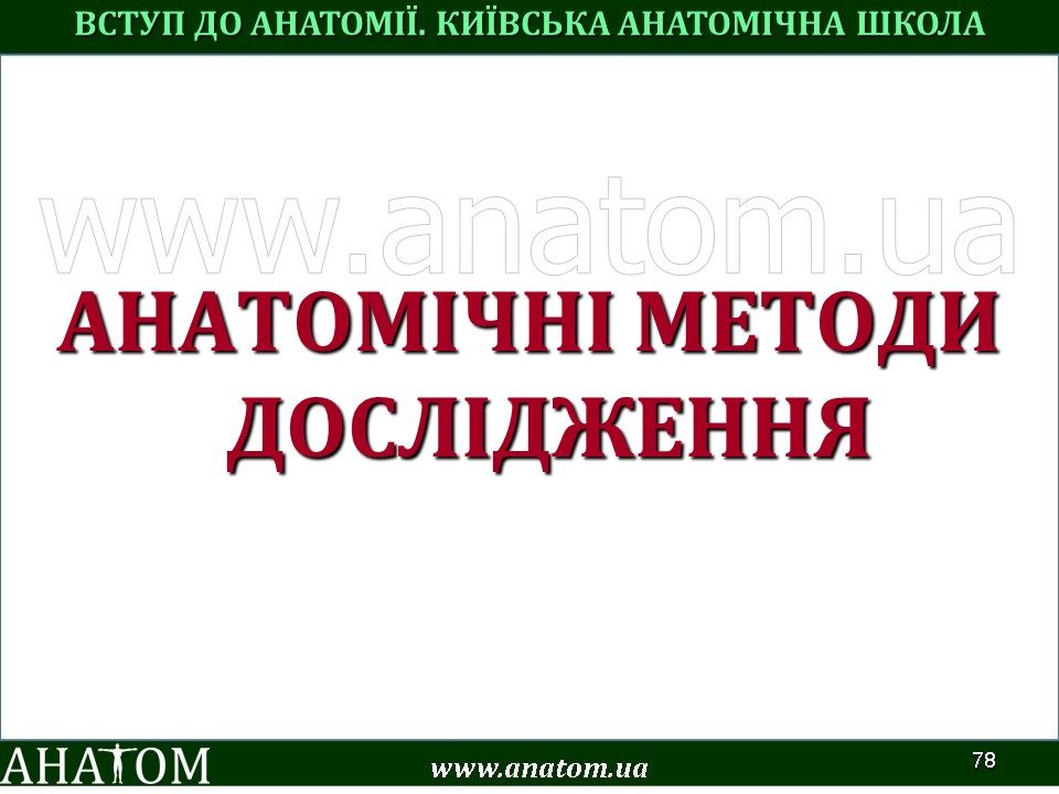 1 – ANATOMIA GENERALIS – АНАТОМ | ANATOM.UA